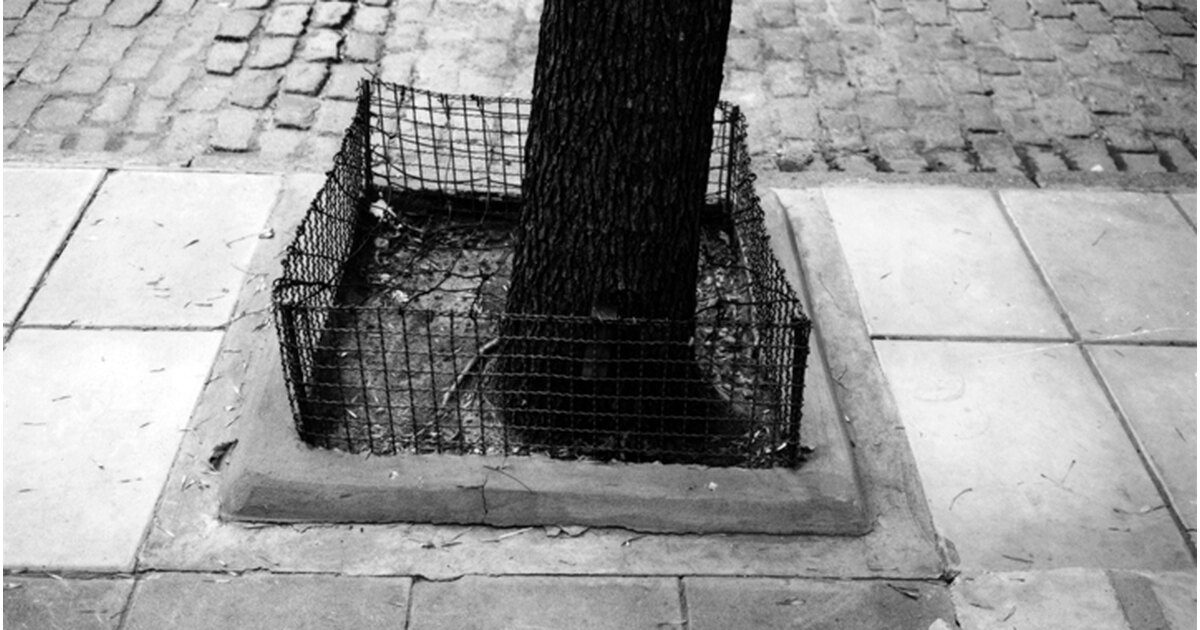 Alle grünen Register ziehen – Saiten