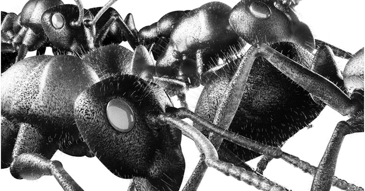 Alles lebt auf- und ineinander – Saiten