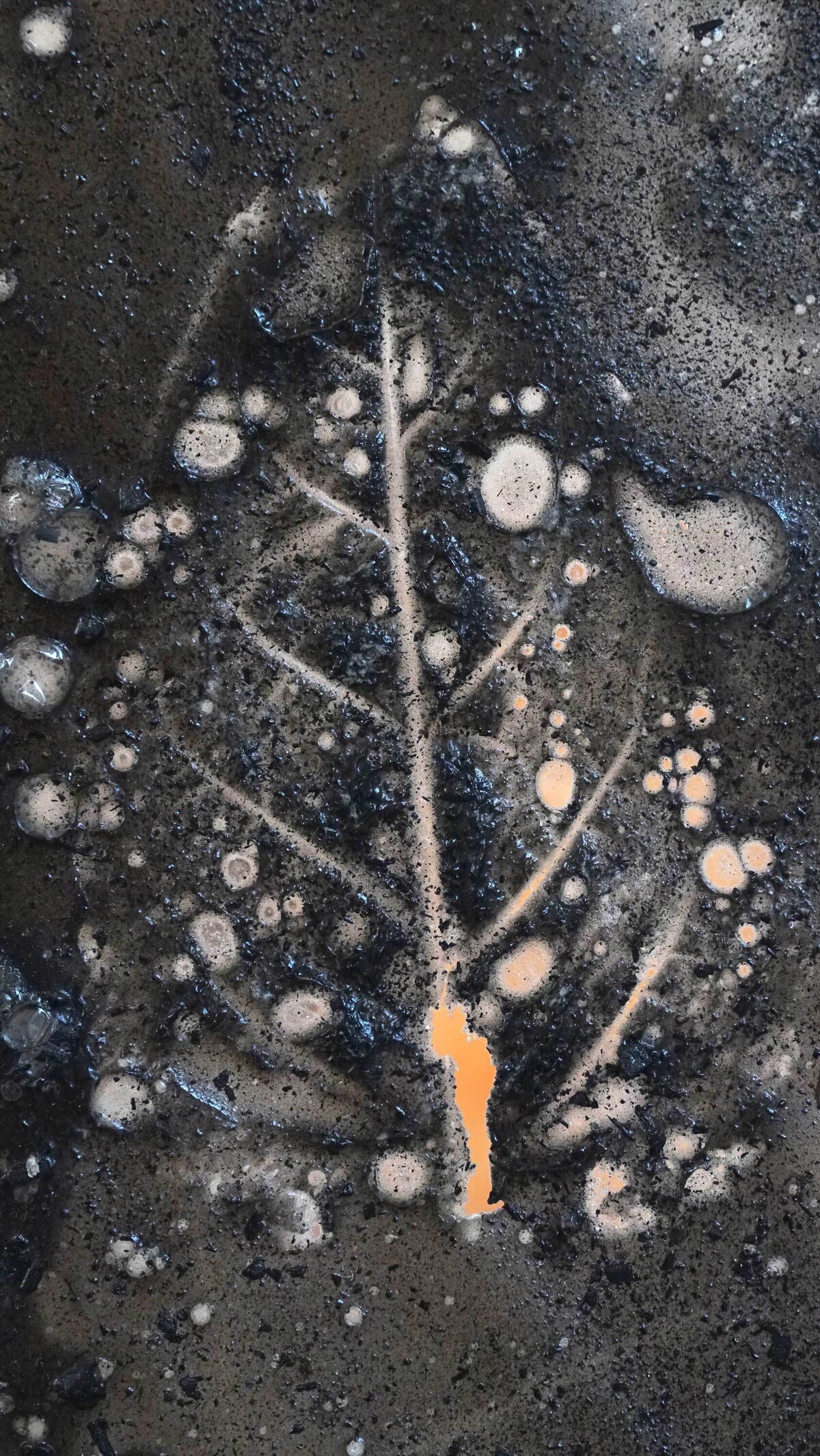 Der Versuch, die Finsternis auszulöschen – Saiten