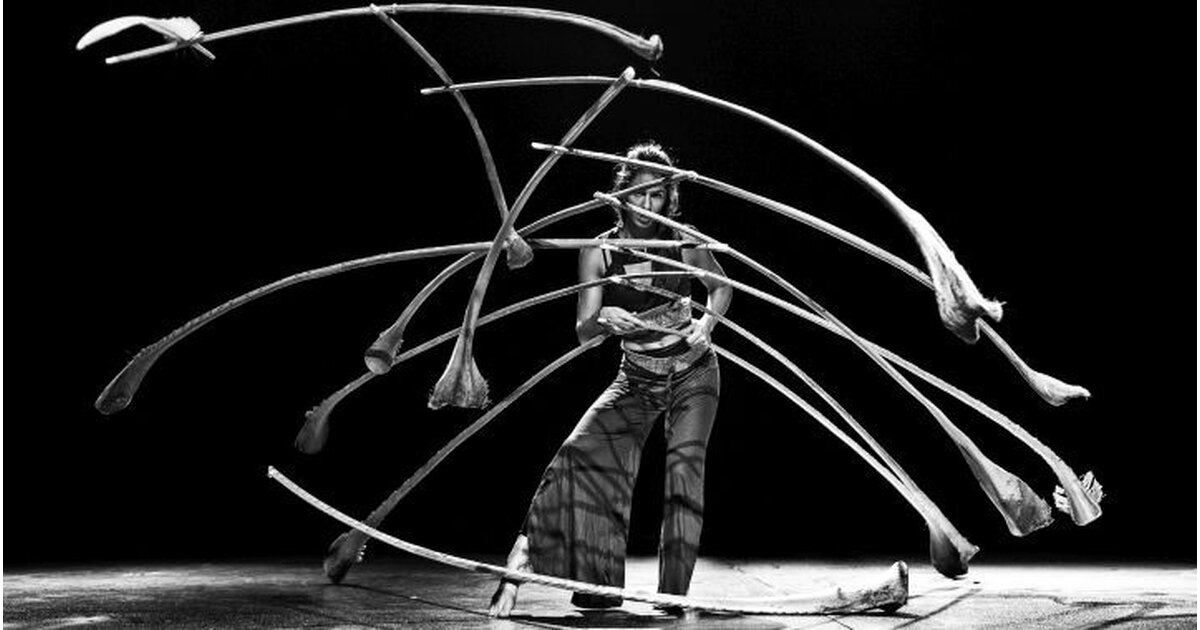 In der Balance: 40 Jahre Rigolo – Saiten