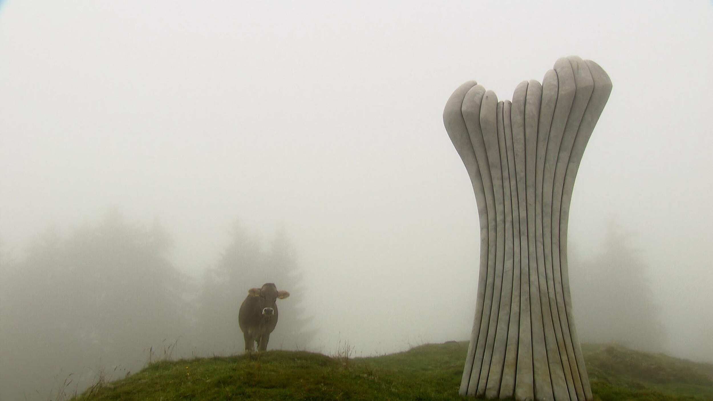 «Man muss den Ort kennen, um das Phänomen zu verstehen» – Saiten