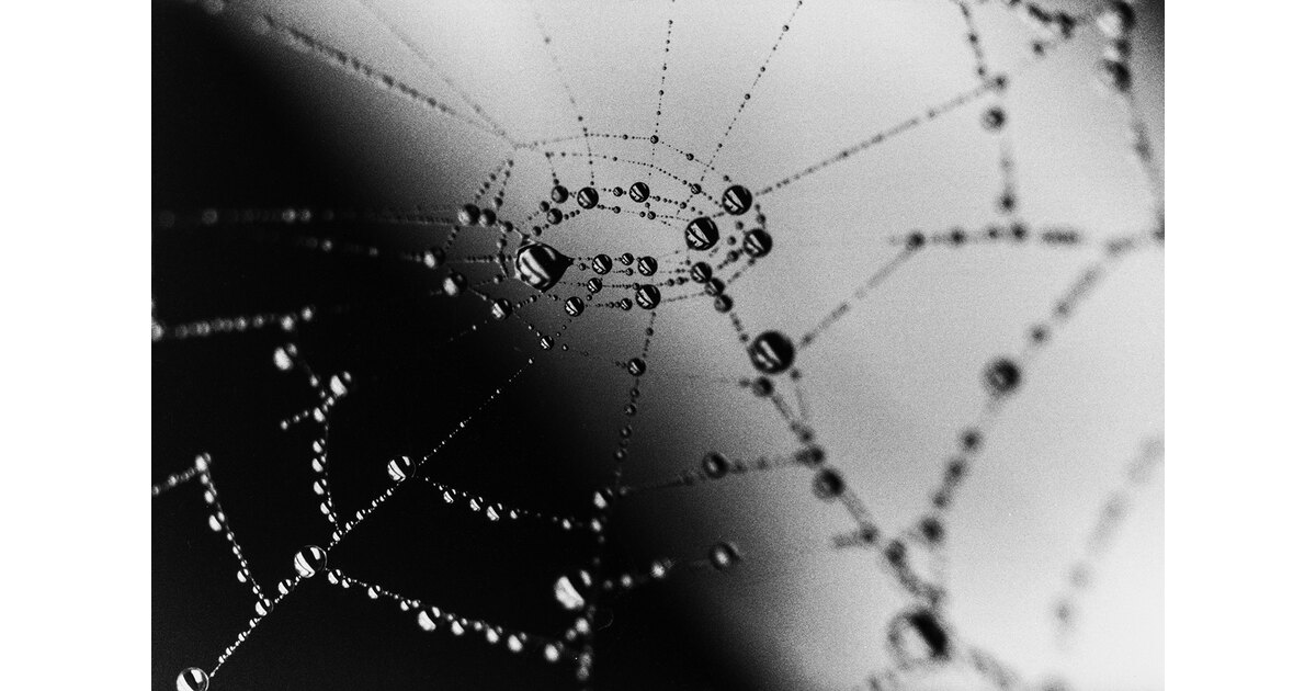 Spiegelnde Wunderkugeln – Ostschweizer Kulturmagazin Saiten