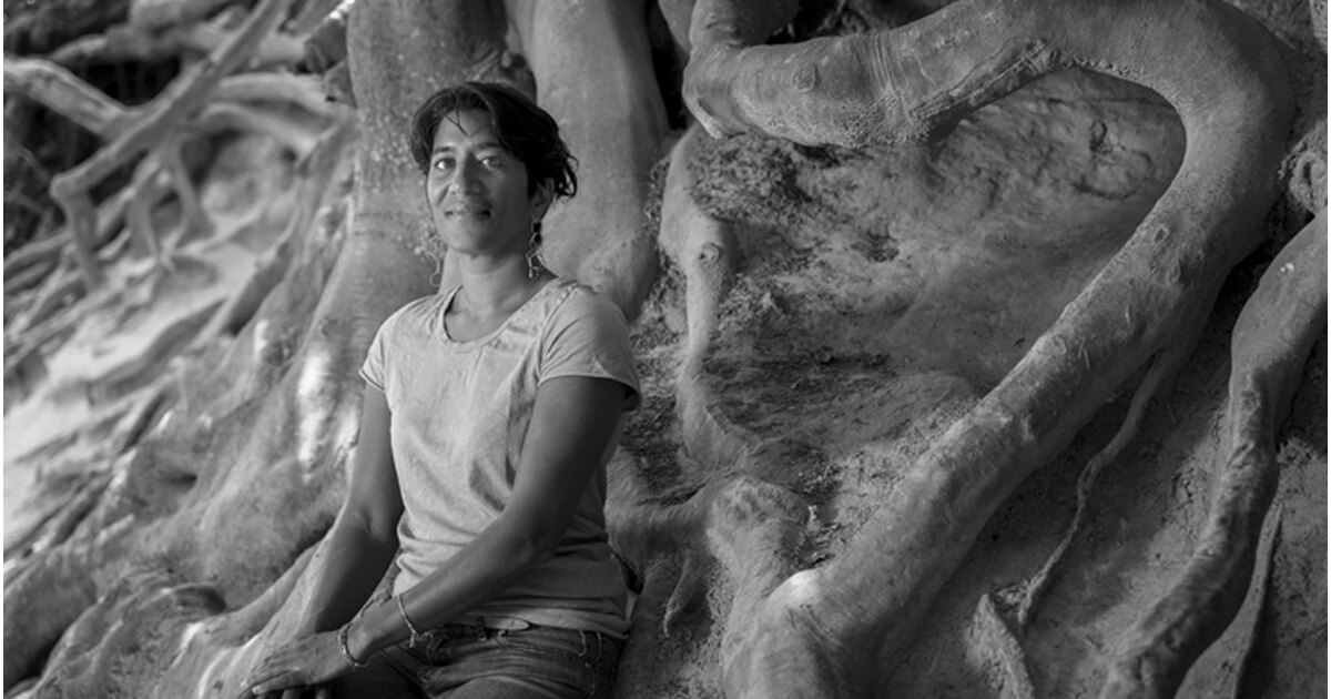 Wurzeln im Nirgendwo – Saiten